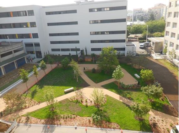 Catella's latest news and press releases