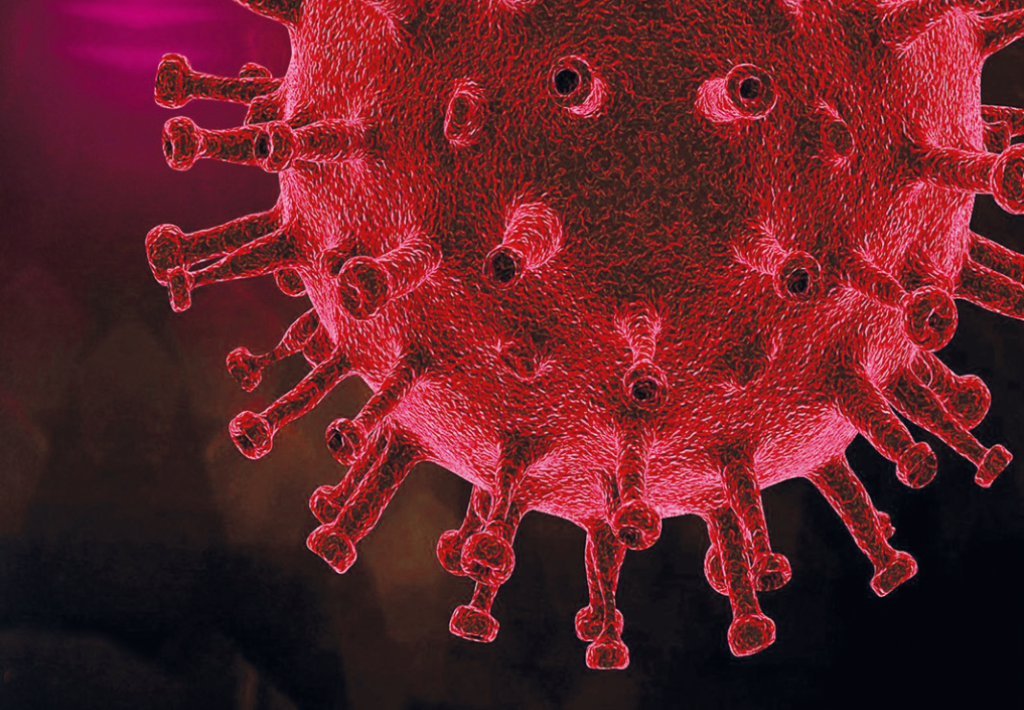 Research – stay updated with Catella's analysis and publications